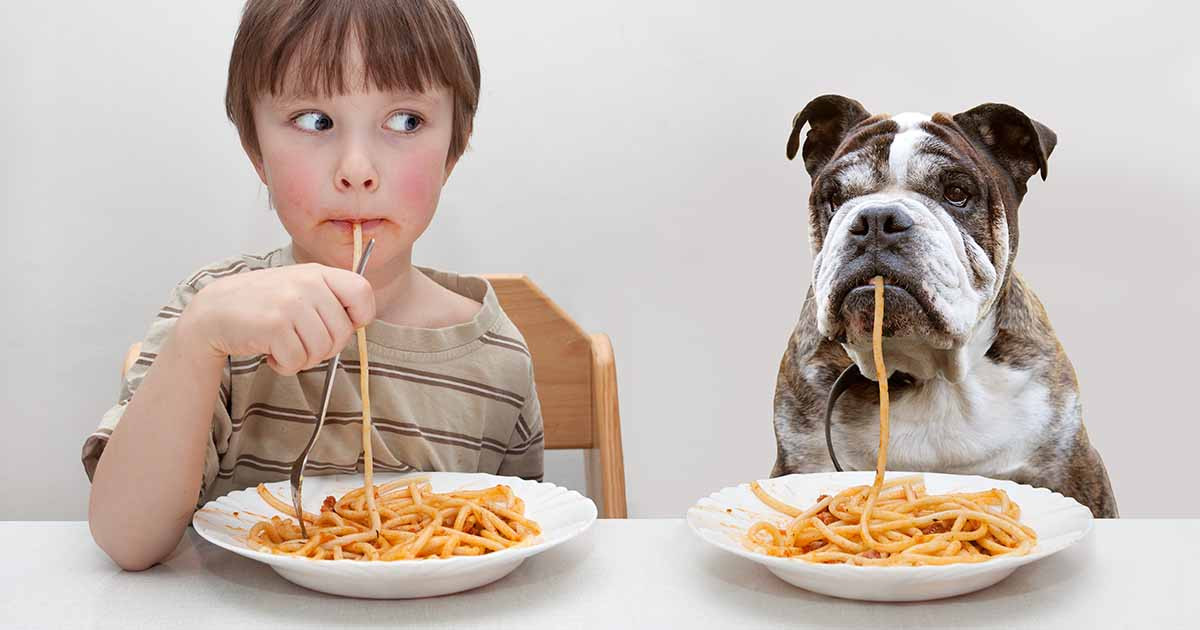 Pasta for Dogs – When and How to Serve Pasta to Dogs · barfer.ie