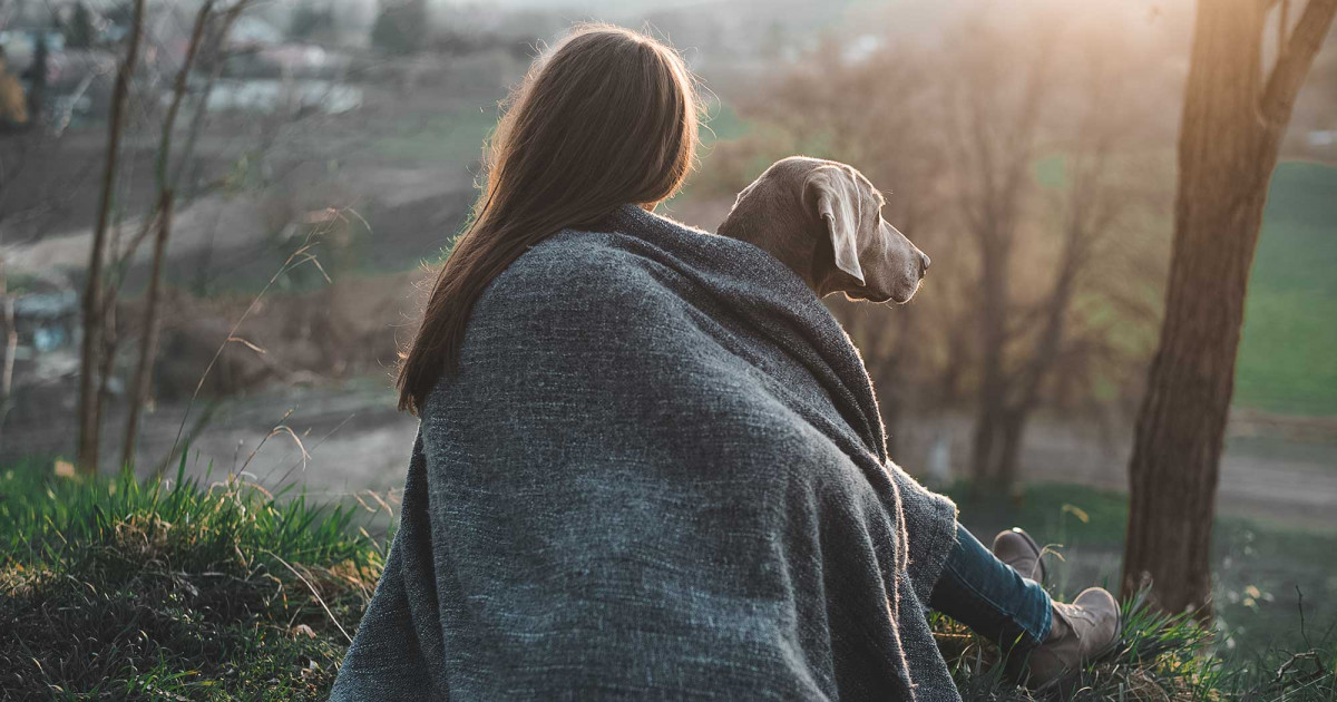 How to Strengthen Your Dog's Immunity: A Complete Guide for Dog Owners ...